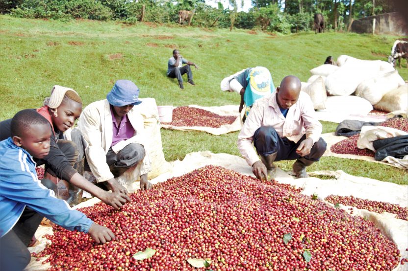 Gallery ‣ Fortune Sacco Ltd