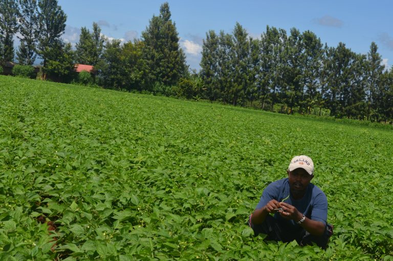 Gallery ‣ Fortune Sacco Ltd