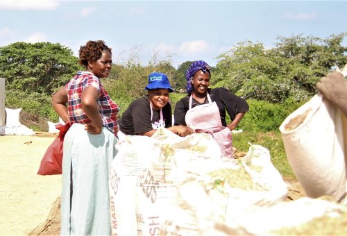 Gallery ‣ Fortune Sacco Ltd