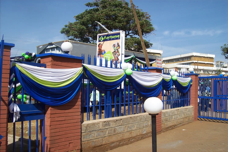 Background Overview – Fortune Sacco