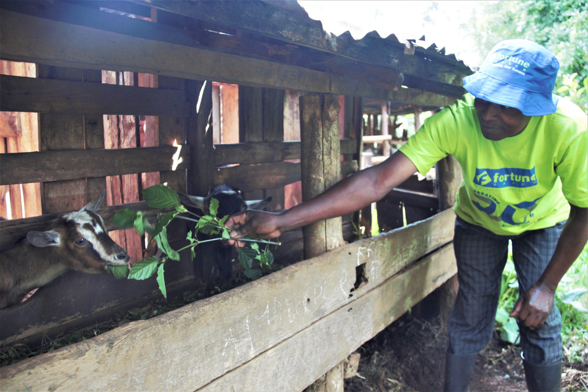 Gallery ‣ Fortune Sacco Ltd