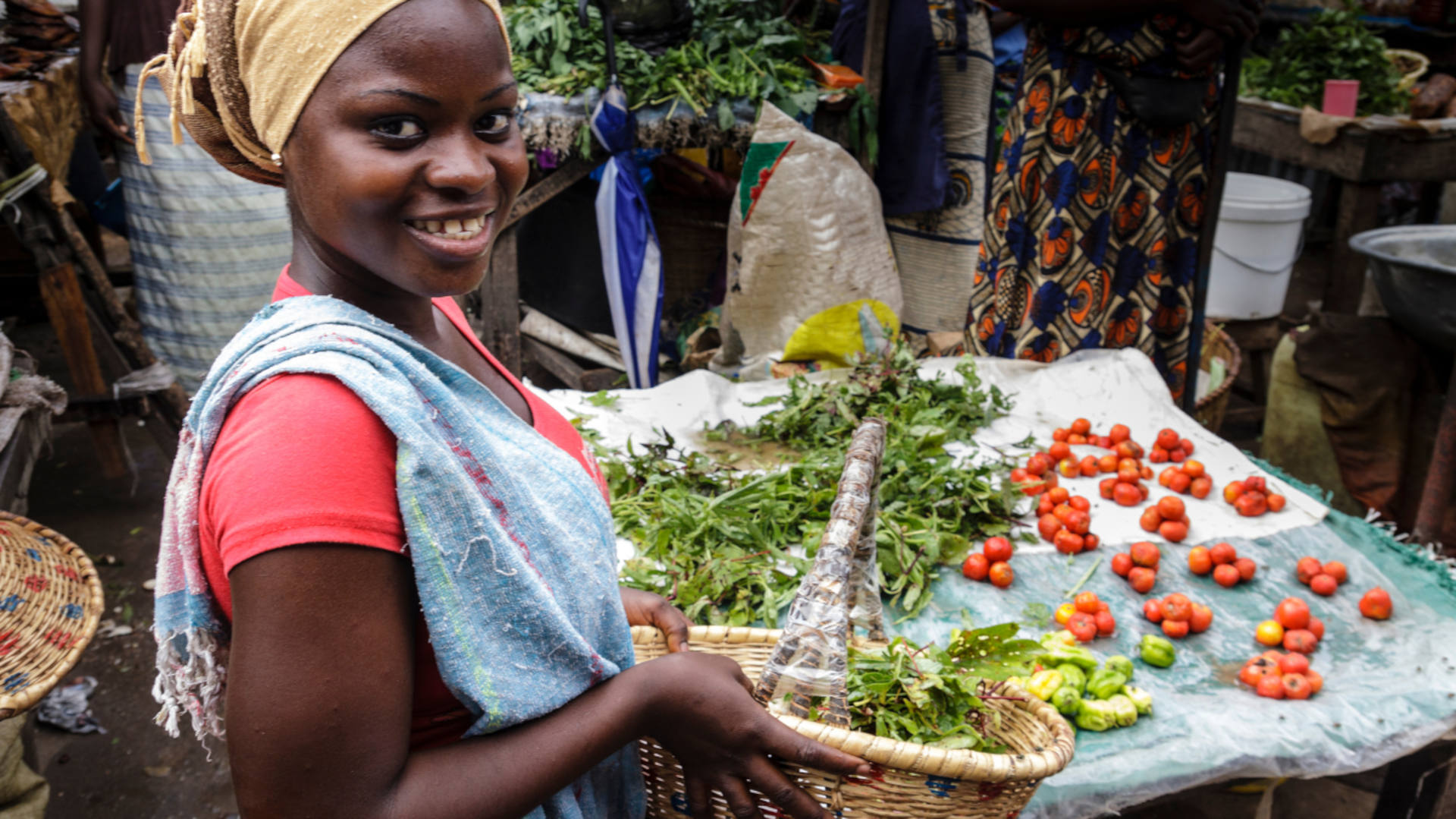 Fortune Sacco Ltd ‣ Your success, our success